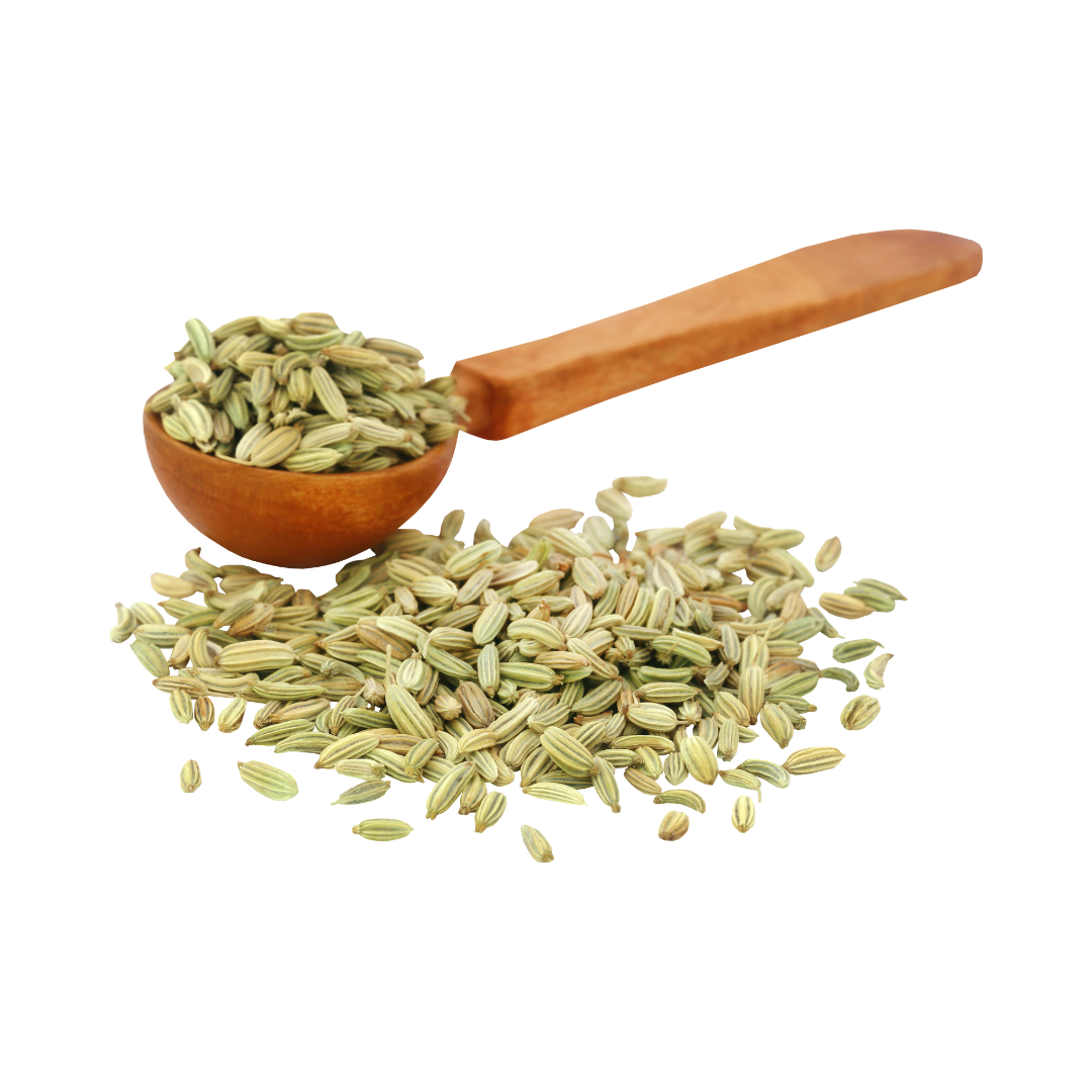 Fennel Seeds Winlo